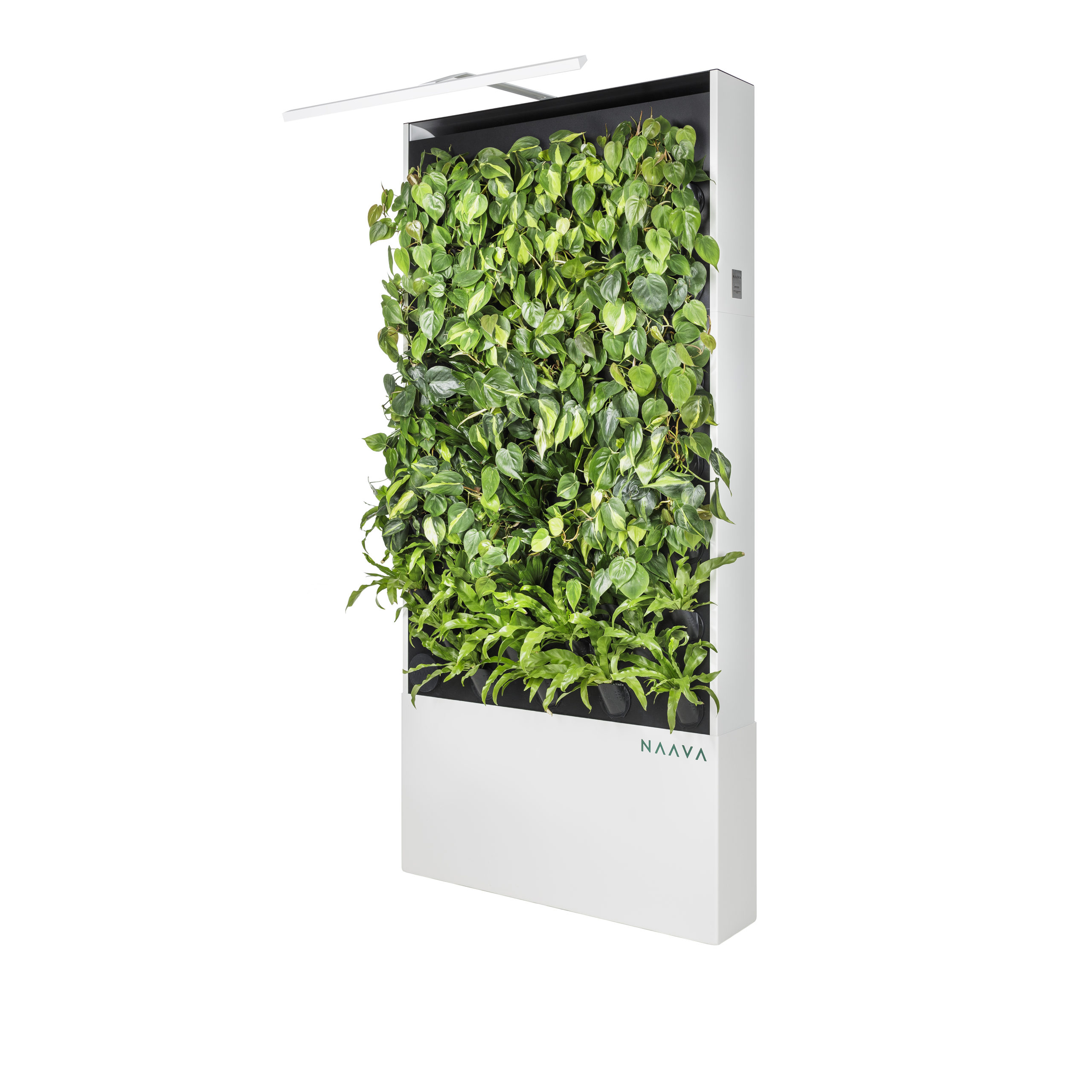 ᐅ Naava One slim plant mural | Aistec